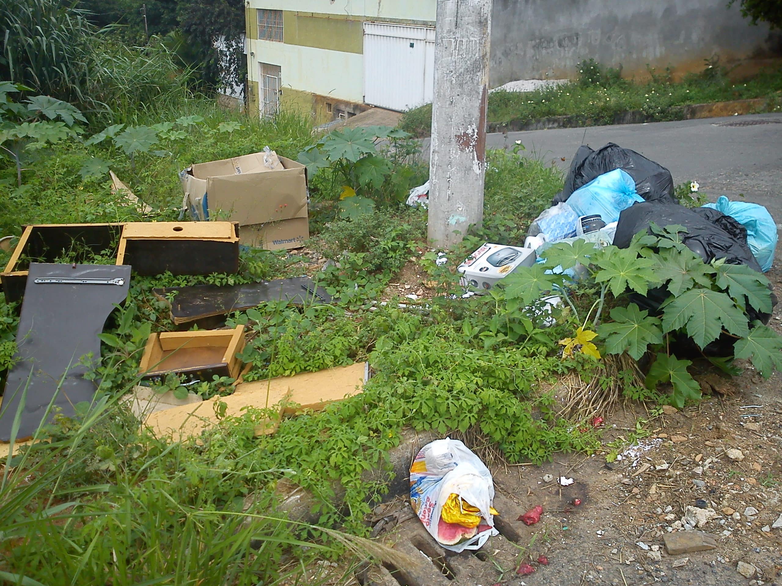 Terrenos baldios sujos são responsabilidade de seus proprietários ...